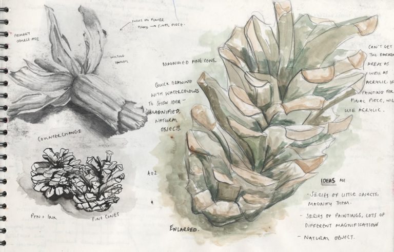 Art Sketchbook Ideas: Creative Examples to Inspire Students
