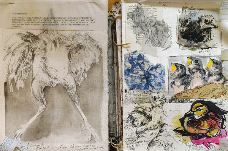 Art Sketchbook Ideas: Creative Examples to Inspire Students